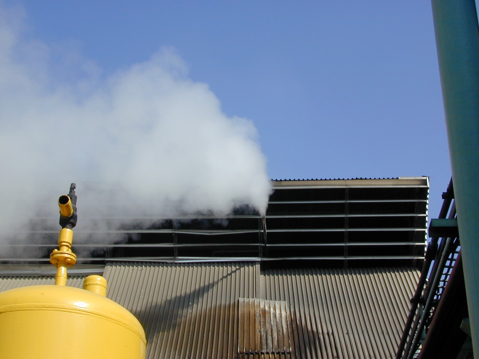 Steam Leakage Cost - Inveno Engineering LLC